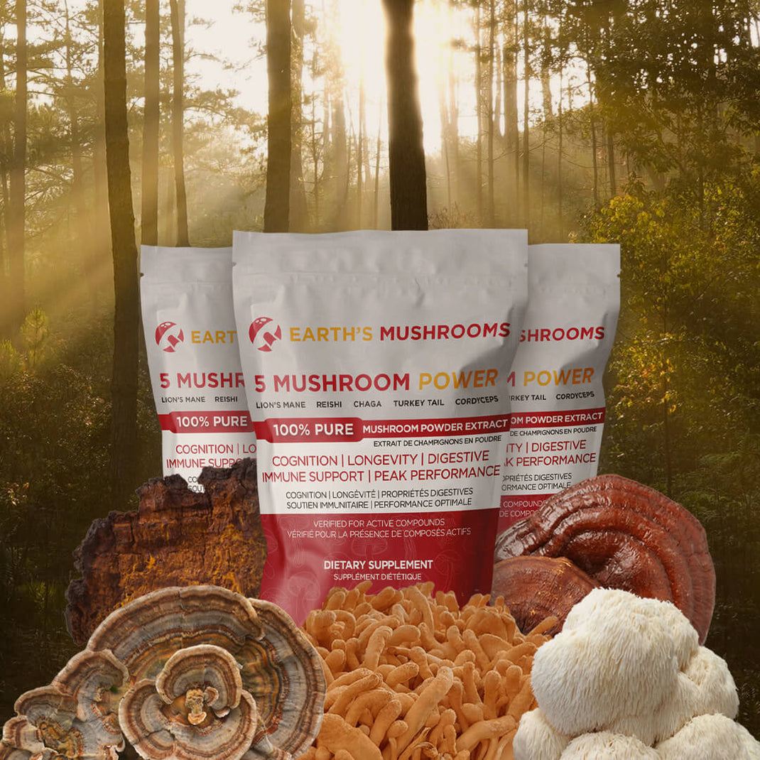 5 Mushroom POWER Extracts Blend – Earth's Mushrooms